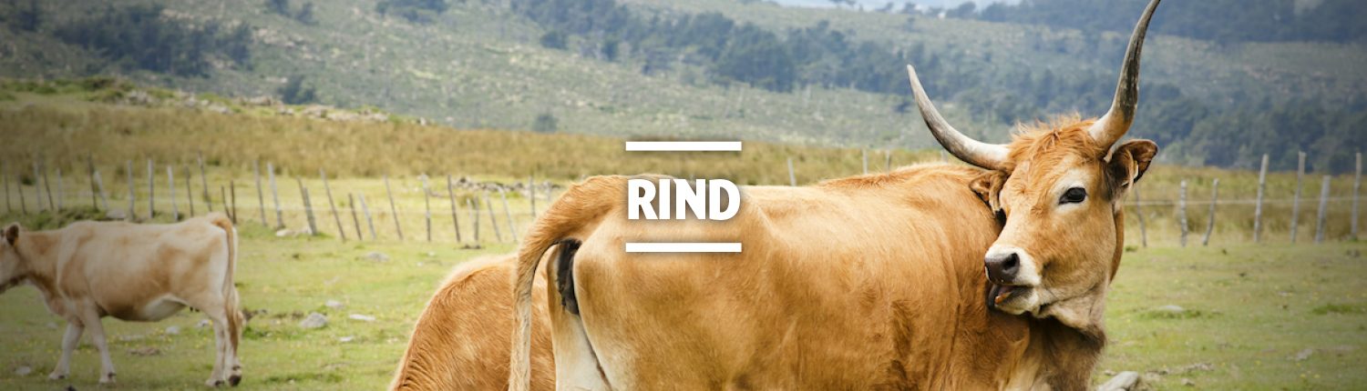 Rezepte mit Rind | Don Carne Blog